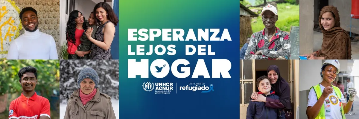 ACNUR Logo & Brand Assets (SVG, PNG and vector) - Brandfetch