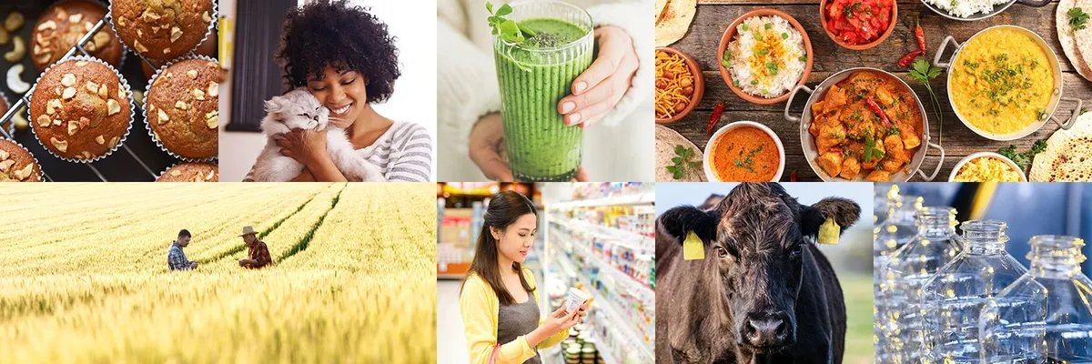 ADM Logo & Brand Assets (SVG, PNG and vector) - Brandfetch