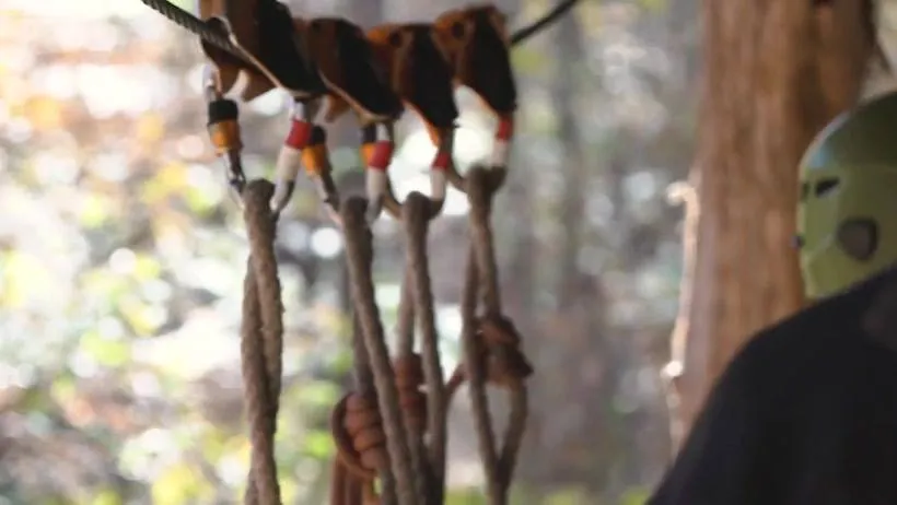 Adventureworks Logo & Brand Assets (SVG, PNG and vector) - Brandfetch