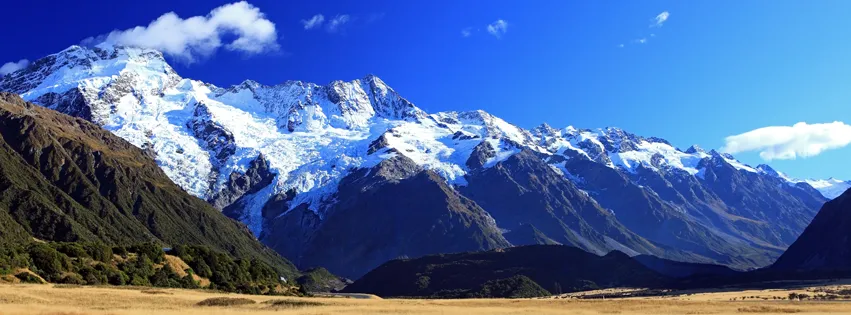 Bank of New Zealand Logo & Brand Assets (SVG, PNG and vector) - Brandfetch