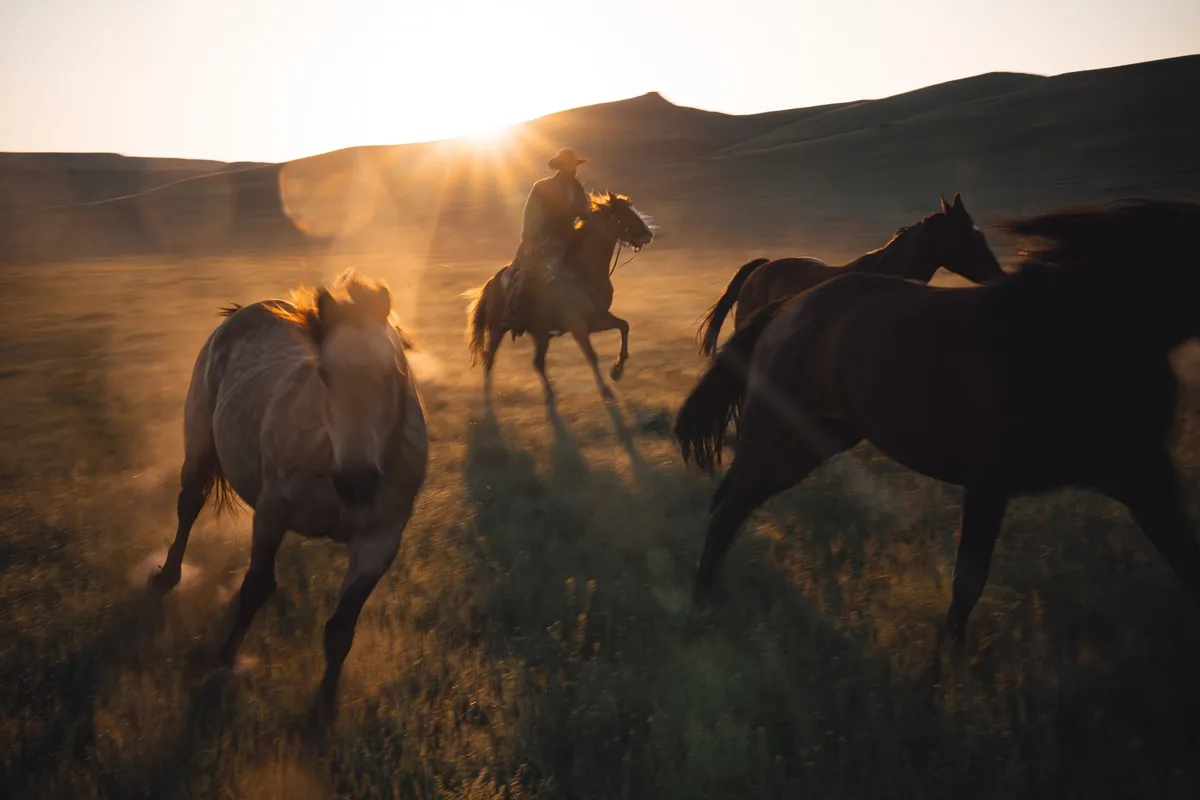 Boot Barn Logo & Brand Assets (SVG, PNG and vector) - Brandfetch