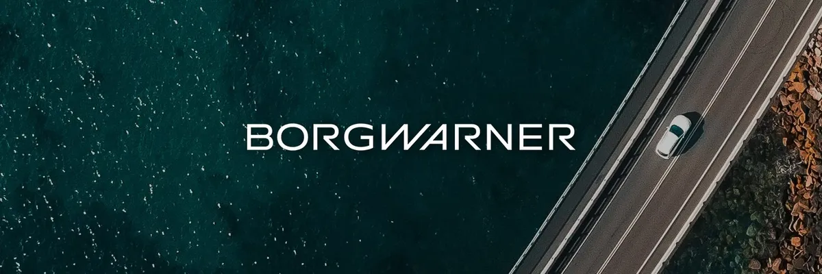 BorgWarner Logo & Brand Assets (SVG, PNG and vector) - Brandfetch