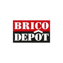 Brico Dépôt Logo & Brand Assets (SVG, PNG and vector) - Brandfetch