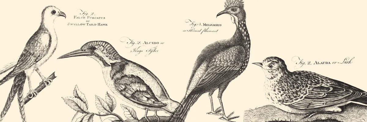 Britannica Logo & Brand Assets (SVG, PNG and vector) - Brandfetch