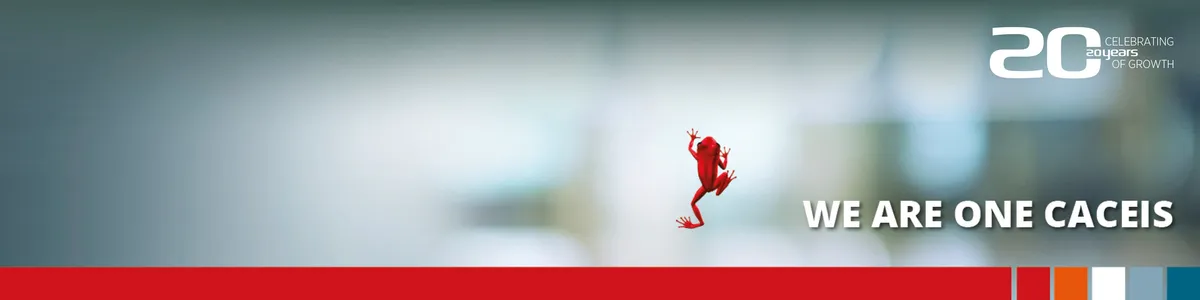 CACEIS Logo & Brand Assets (SVG, PNG and vector) - Brandfetch