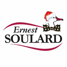 Brets Officiel Logo & Brand Assets (SVG, PNG and vector) - Brandfetch