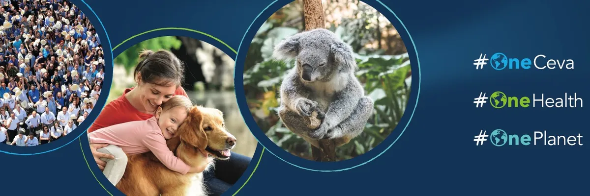 Ceva Sante Animale Logo & Brand Assets (SVG, PNG and vector) - Brandfetch