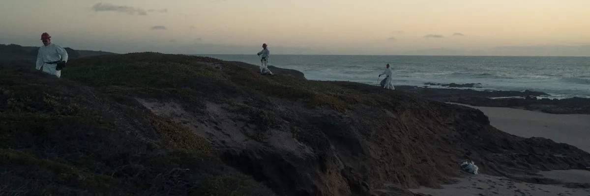 Clean Harbors Logo & Brand Assets (SVG, PNG and vector) - Brandfetch