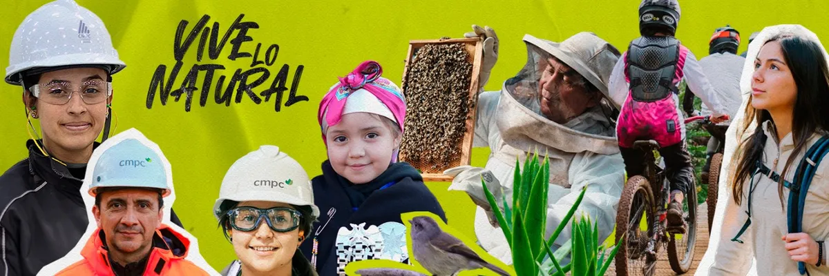 Somos CMPC Logo & Brand Assets (SVG, PNG and vector) - Brandfetch