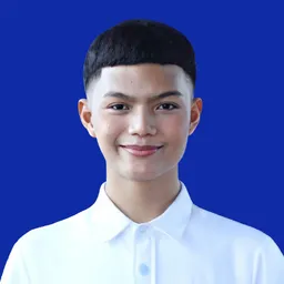 BulSU Logo & Brand Assets (SVG, PNG and vector) - Brandfetch