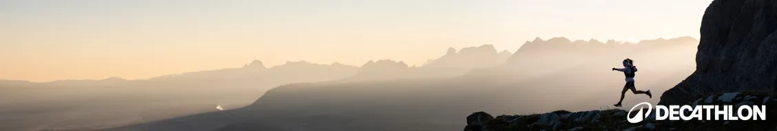 Decathlon Logo & Brand Assets (SVG, PNG and vector) - Brandfetch