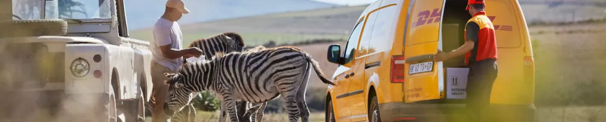 DHL Logo & Brand Assets (SVG, PNG and vector) - Brandfetch