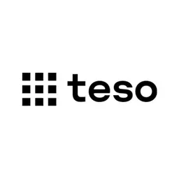 Teso Logo & Brand Assets (SVG, PNG and vector) - Brandfetch
