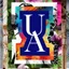 University of Akron Main Campus Acceptance Rate & Admissions 2026 | Unive