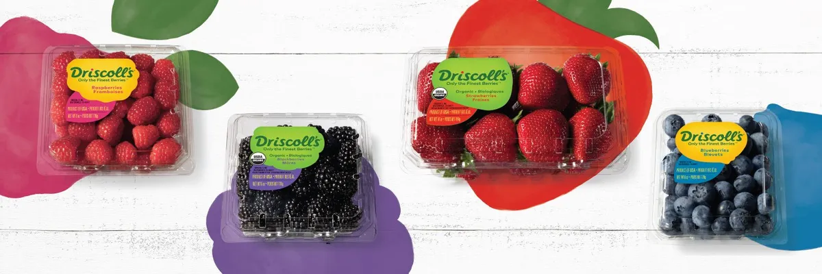 Driscoll's Berries Logo & Brand Assets (SVG, PNG and vector) - Brandfetch