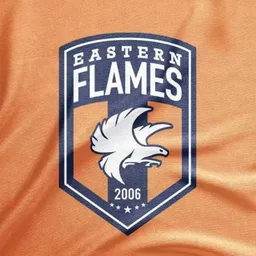 Roshn Saudi League Logo & Brand Assets (SVG, PNG and vector) - Brandfetch