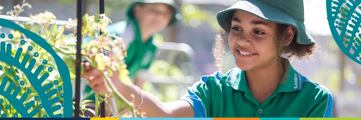 Queensland Department of Education Logo & Brand Assets (SVG, PNG and ...