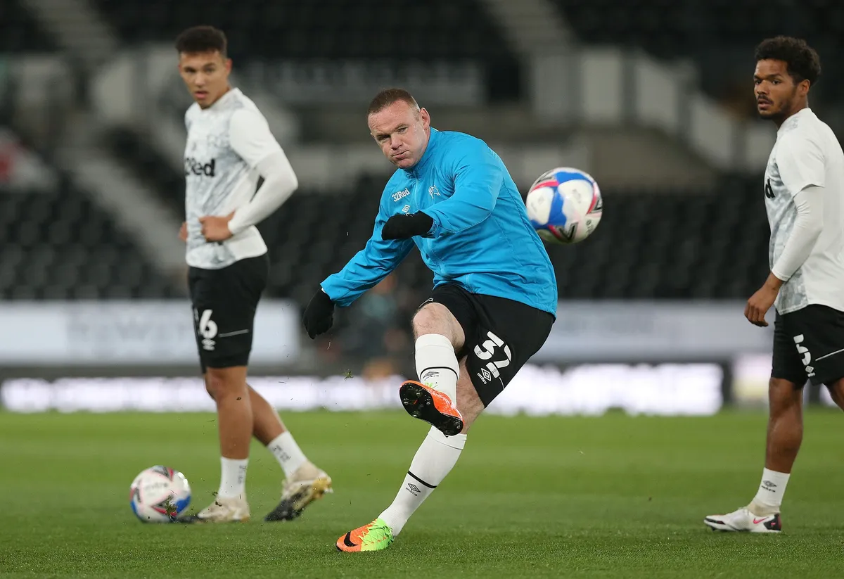 EFL Logo & Brand Assets (SVG, PNG and vector) - Brandfetch