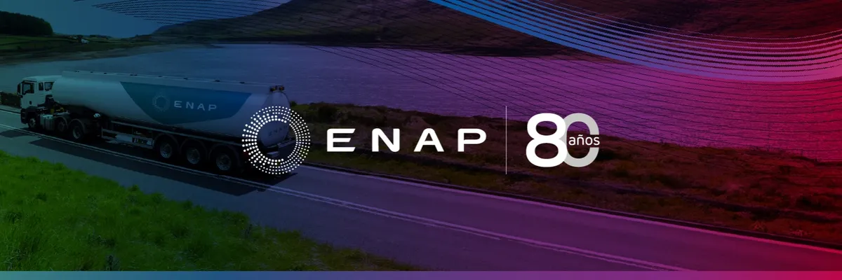 Enap Logo & Brand Assets (SVG, PNG and vector) - Brandfetch