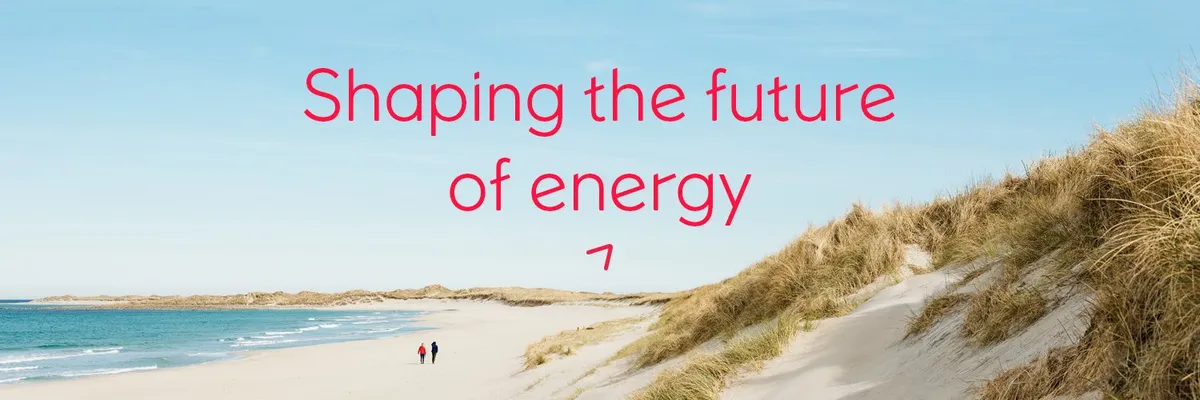 Equinor Logo & Brand Assets (SVG, PNG and vector) - Brandfetch