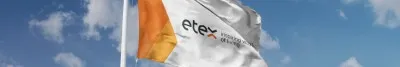 Etex Logo & Brand Assets (SVG, PNG and vector) - Brandfetch