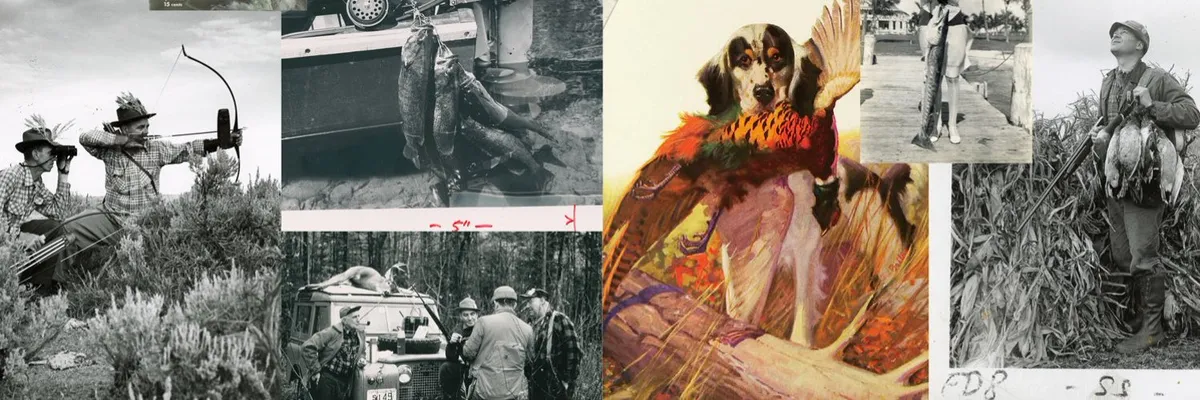 Field & Stream Logo & Brand Assets (SVG, PNG and vector) - Brandfetch