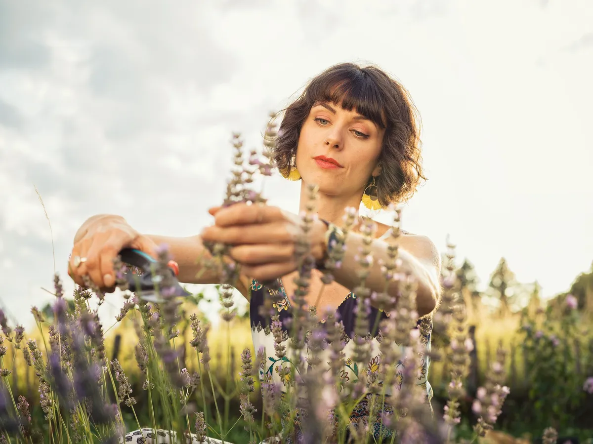 GARDENA Logo & Brand Assets (SVG, PNG and vector) - Brandfetch