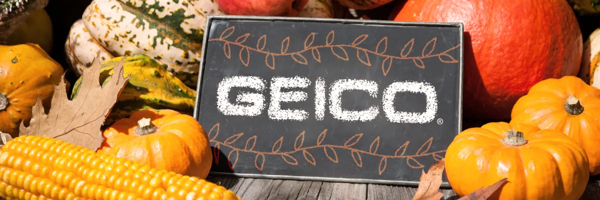 Geico Logo & Brand Assets (SVG, PNG and vector) - Brandfetch