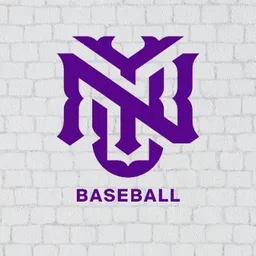 NYU Baseball Logo & Brand Assets (SVG, PNG and vector) - Brandfetch