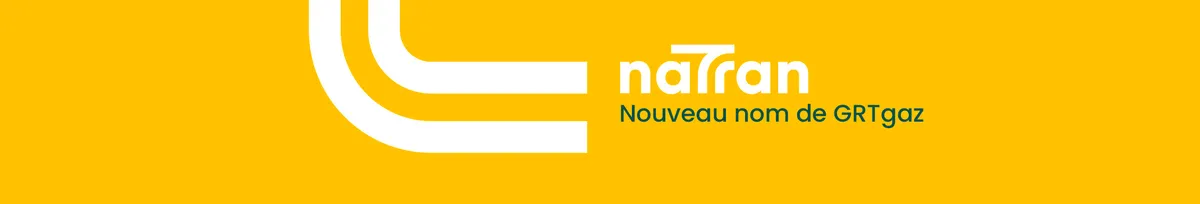 NaTran Logo & Brand Assets (SVG, PNG and vector) - Brandfetch