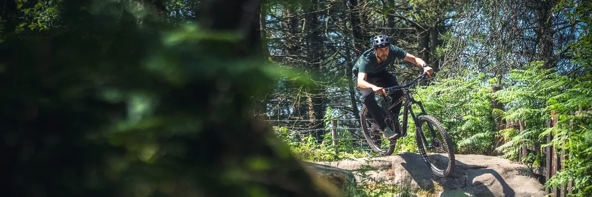 Halfords Logo & Brand Assets (SVG, PNG and vector) - Brandfetch