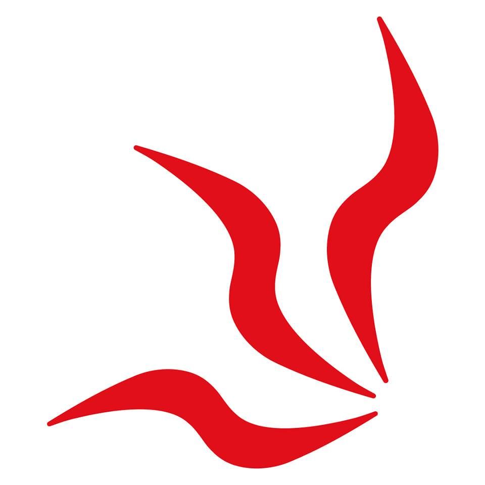 Naheed Logo & Brand Assets (SVG, PNG and vector) - Brandfetch