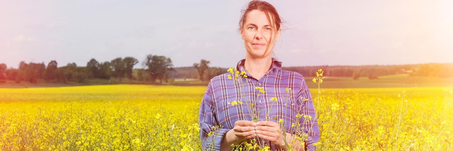 ICA Logo & Brand Assets (SVG, PNG and vector) - Brandfetch