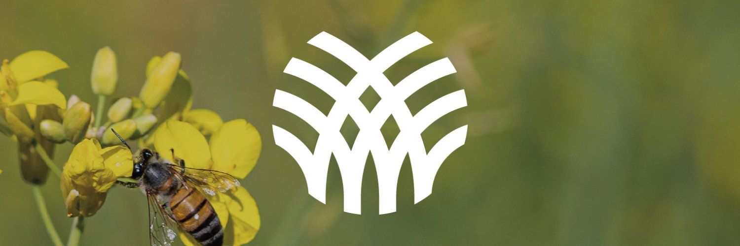 Senar Logo