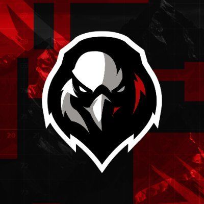 REGIMENT 🇺🇸 Logo & Brand Assets (SVG, PNG and vector) - Brandfetch