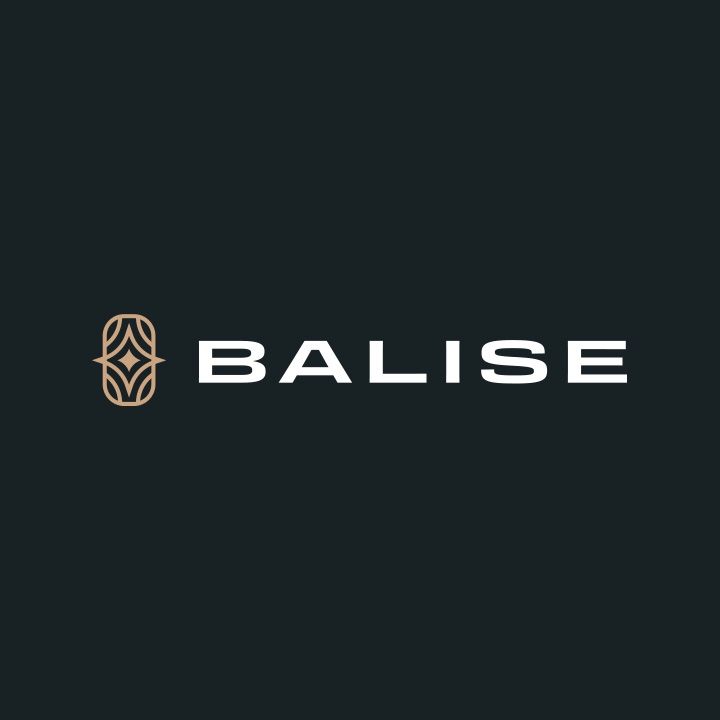 Balise Pontoon Boats Logo & Brand Assets (SVG, PNG and vector) - Brandfetch