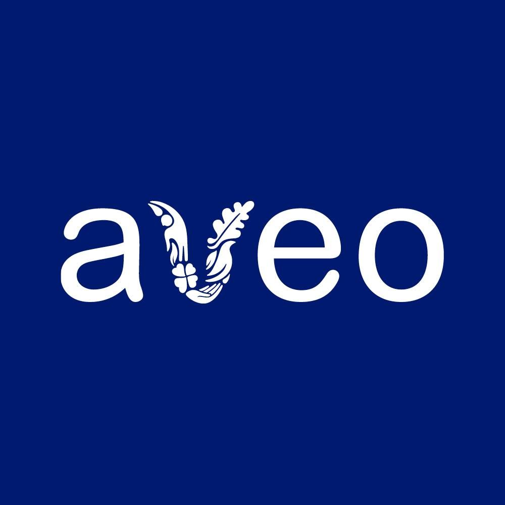 Aveo Logo & Brand Assets (SVG, PNG and vector) - Brandfetch