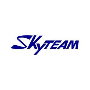 Skyteam Motorcycle Logo & Brand Assets (SVG, PNG and vector) - Brandfetch