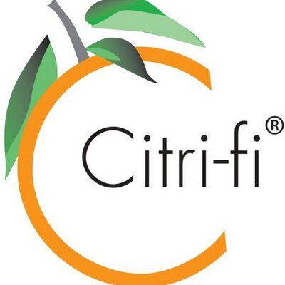 Fiberstar Inc. Logo & Brand Assets (SVG, PNG and vector) - Brandfetch