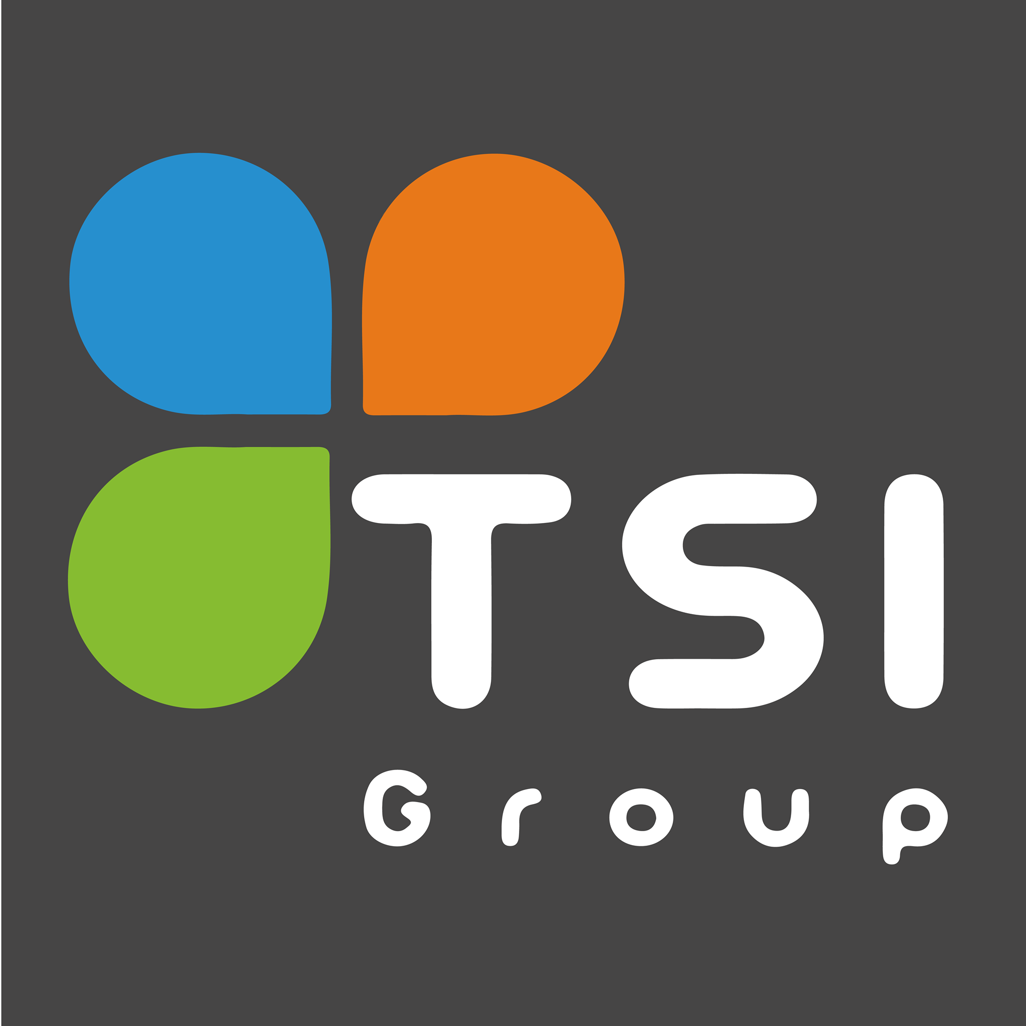 TSI Group Logo & Brand Assets (SVG, PNG and vector) - Brandfetch