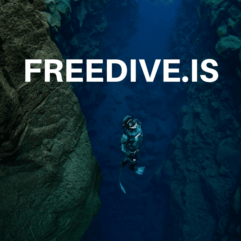 Freedive Logo & Brand Assets (SVG, PNG and vector) - Brandfetch