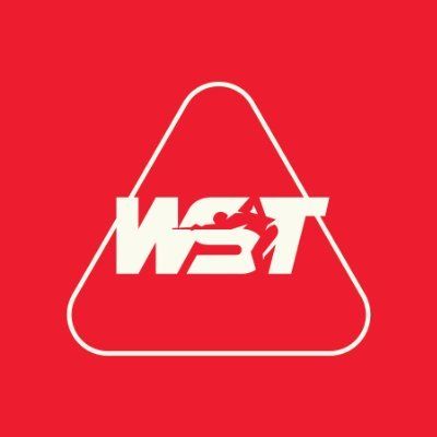 WST Logo & Brand Assets (SVG, PNG and vector) - Brandfetch