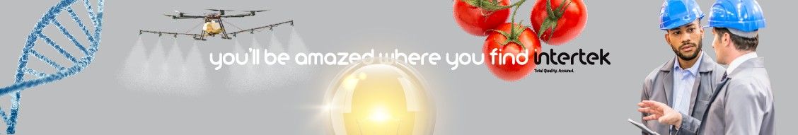 Intertek Logo & Brand Assets (SVG, PNG and vector) - Brandfetch