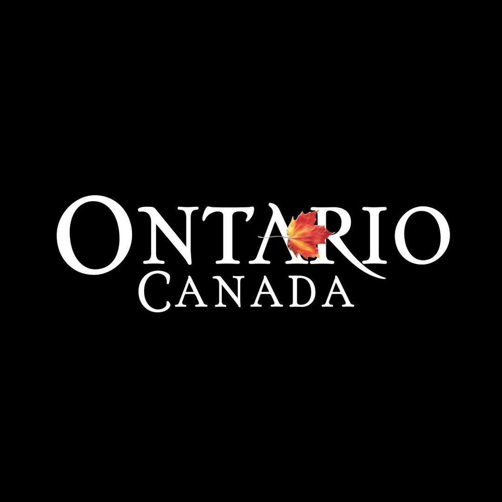 Destination Ontario Logo & Brand Assets (SVG, PNG and vector) - Brandfetch