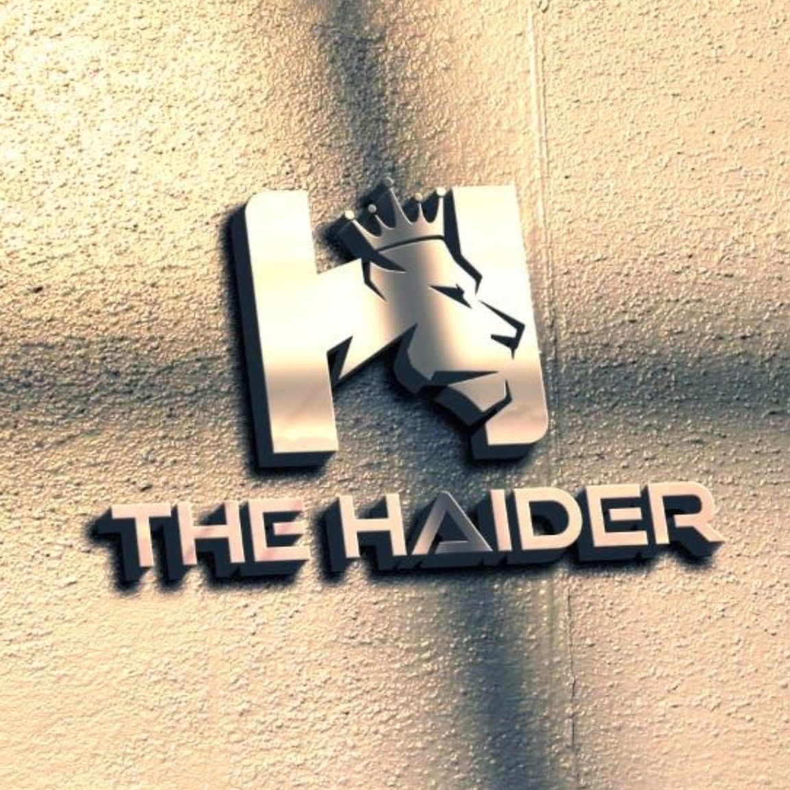 the HAIDER Family Office｜Your Family Money Coach Logo & Brand Assets ...