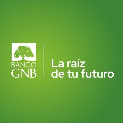 Banco GNB Paraguay Logo & Brand Assets (SVG, PNG and vector) - Brandfetch