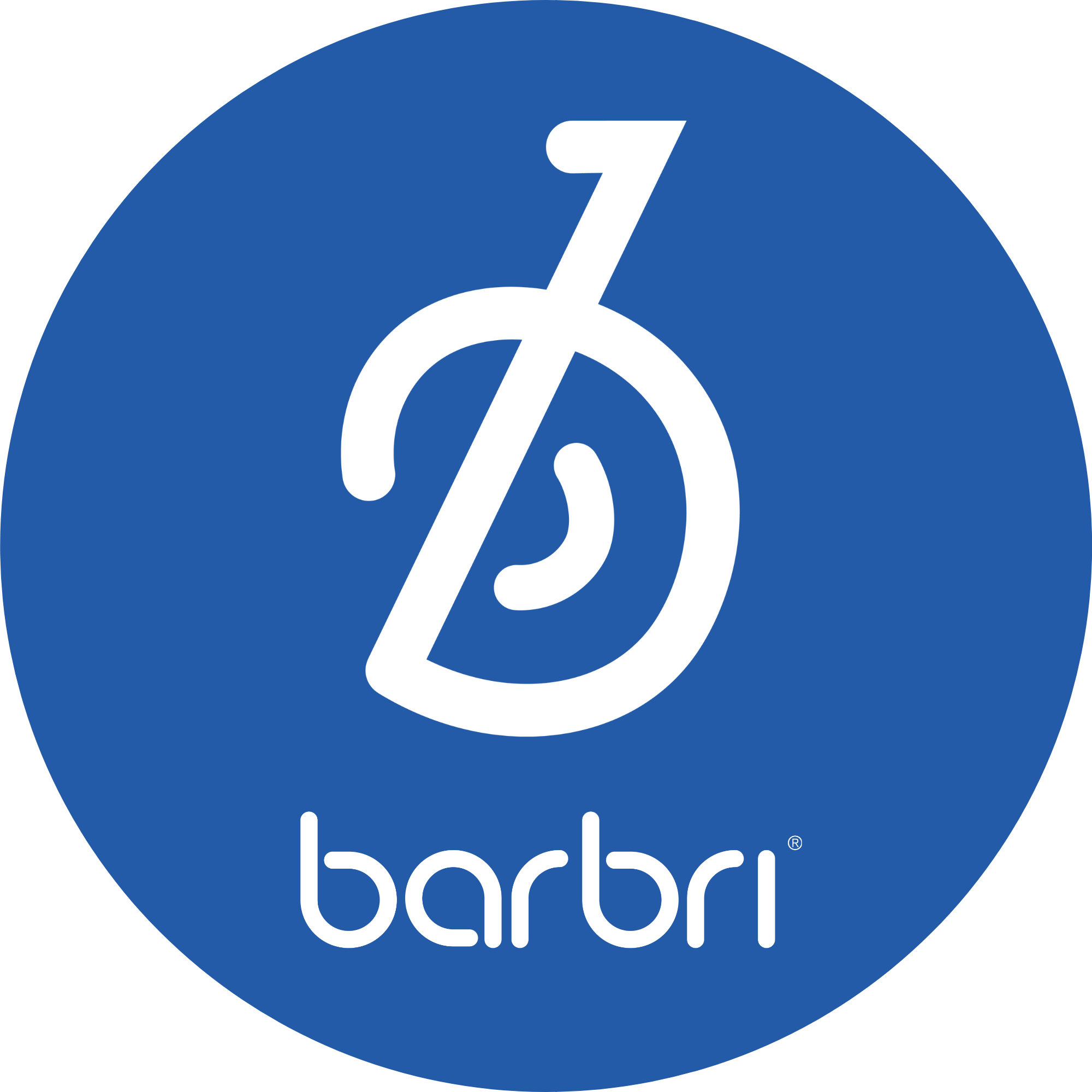 BARBRI Logo & Brand Assets (SVG, PNG and vector) - Brandfetch