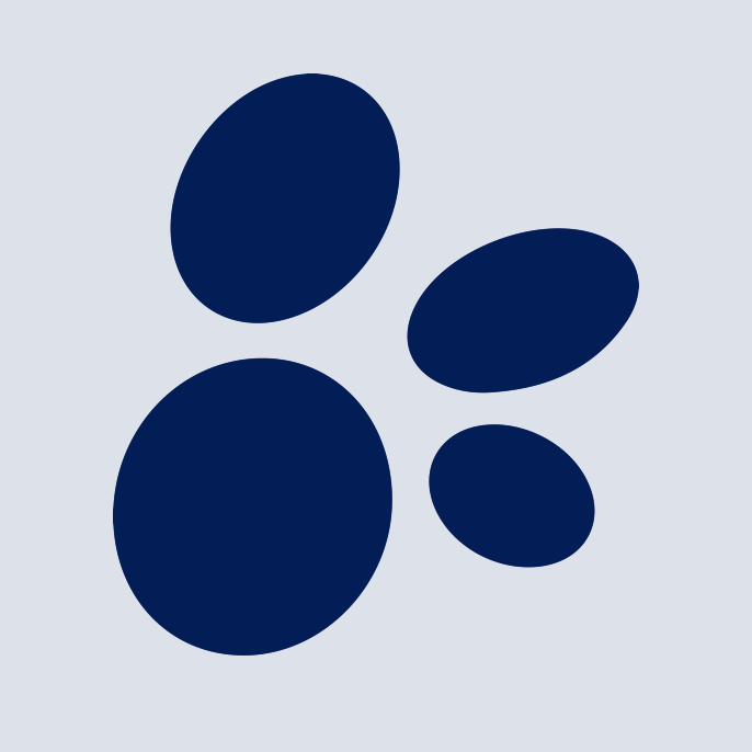 ESSEC Live Logo & Brand Assets (SVG, PNG and vector) - Brandfetch