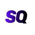 SkyQuest Technology Consulting Pvt. Ltd. Logo & Brand Assets (SVG, PNG ...