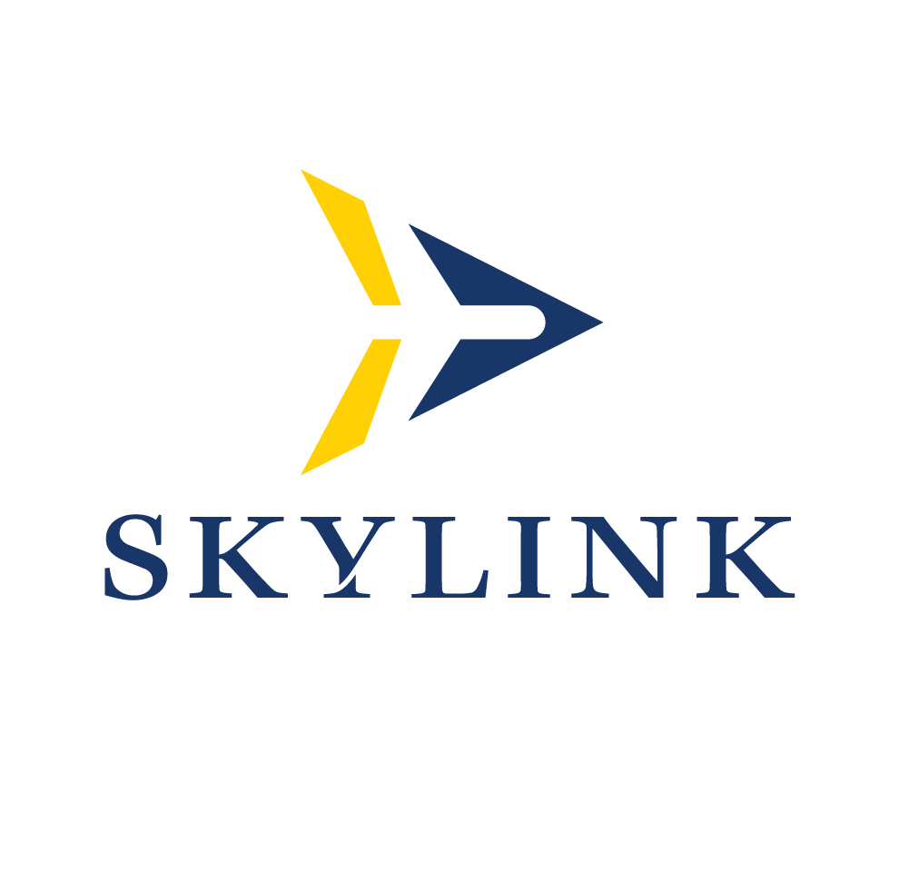 Skylink Services Logo & Brand Assets (SVG, PNG and vector) - Brandfetch